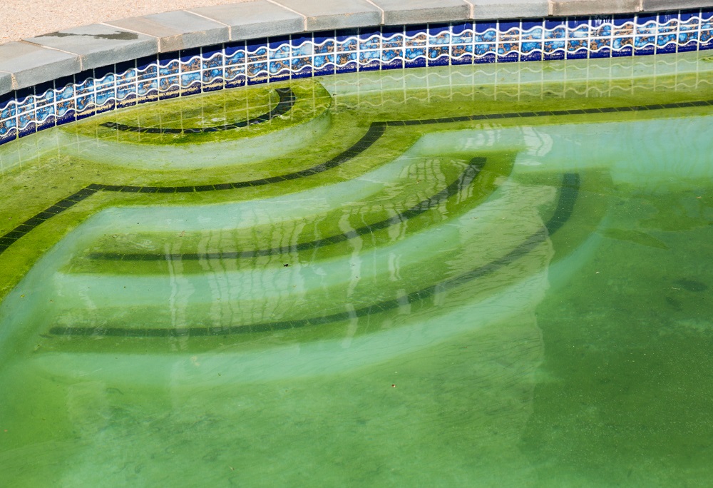 Why Has the Stone Around Your Pool Deck Turned Green and Black ...
